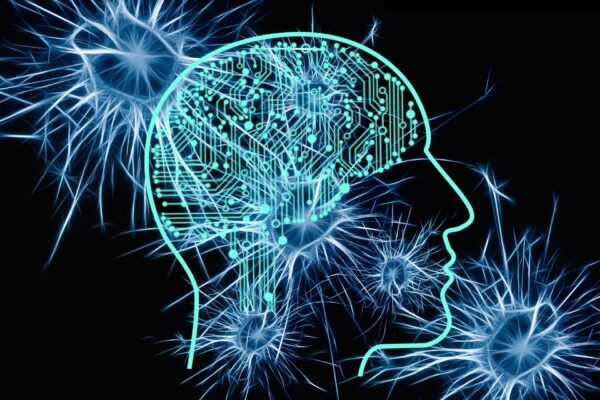 Alpha's werking en het brein - Mainline